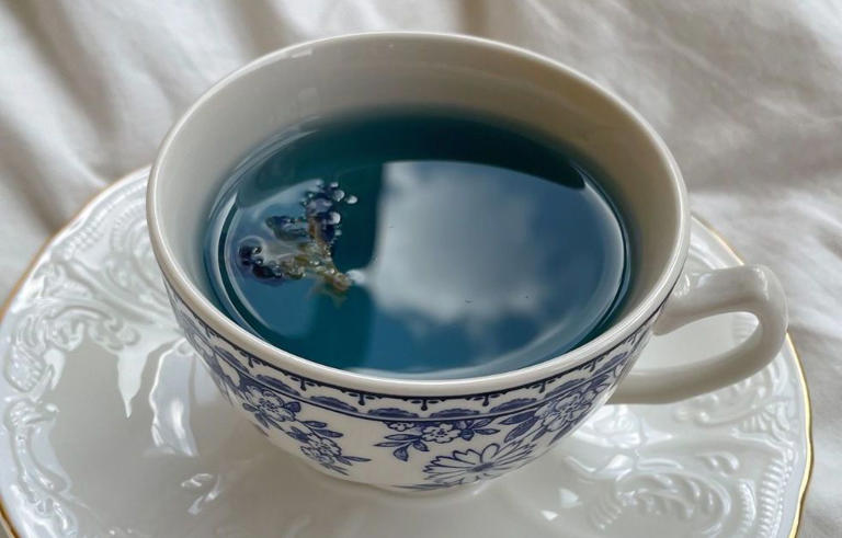 Quels sont les bienfaits du thé bleu