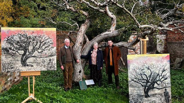 Bramley apple fans hoping to turn garden with original tree into ...