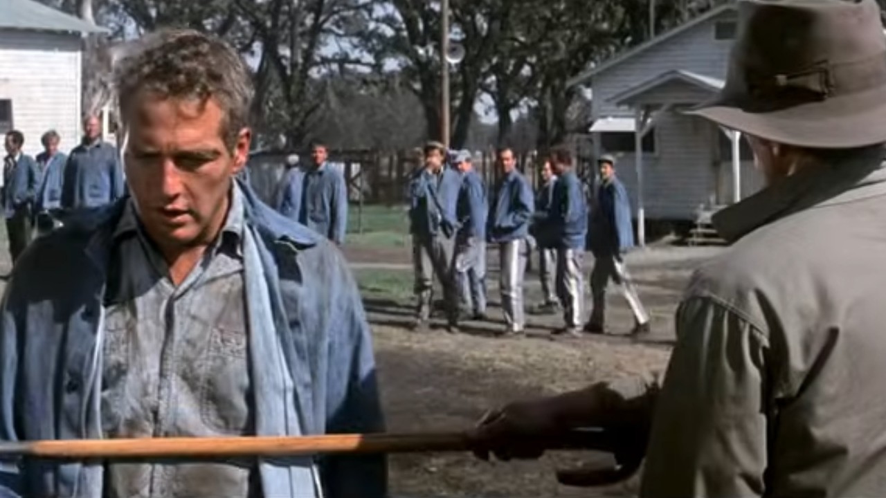 Why Cool Hand Luke is the best film to start with to get into Paul ...