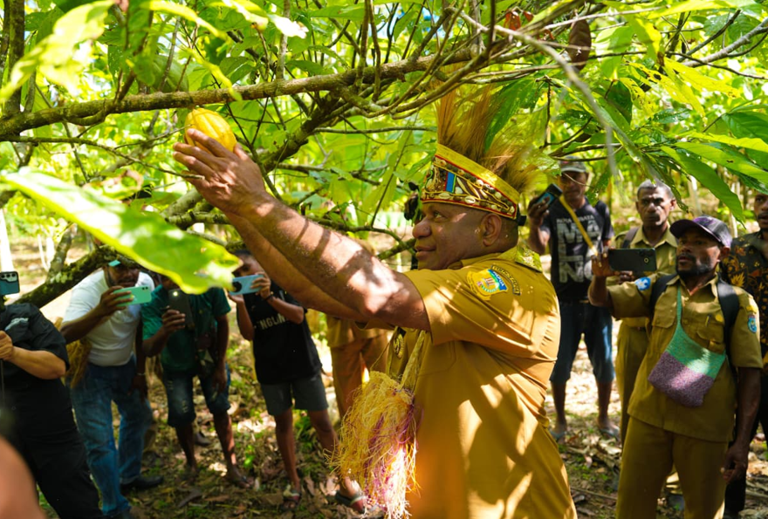 Petani kakao di Kepulauan Yapen dapat perhatian Gubernur Papua, Matius ...