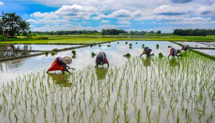 Will El Nino push food prices higher this monsoon season? Govt responds