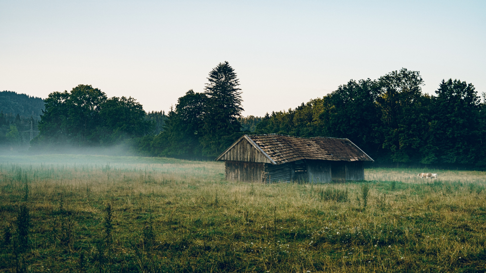 Are you a fan of thrillers? You need to read these 7 books with mind ...