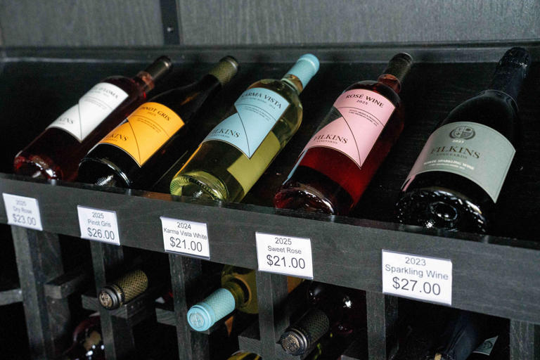 Why OneRepublic’s guitarist wanted his own wine vineyard in Michigan
