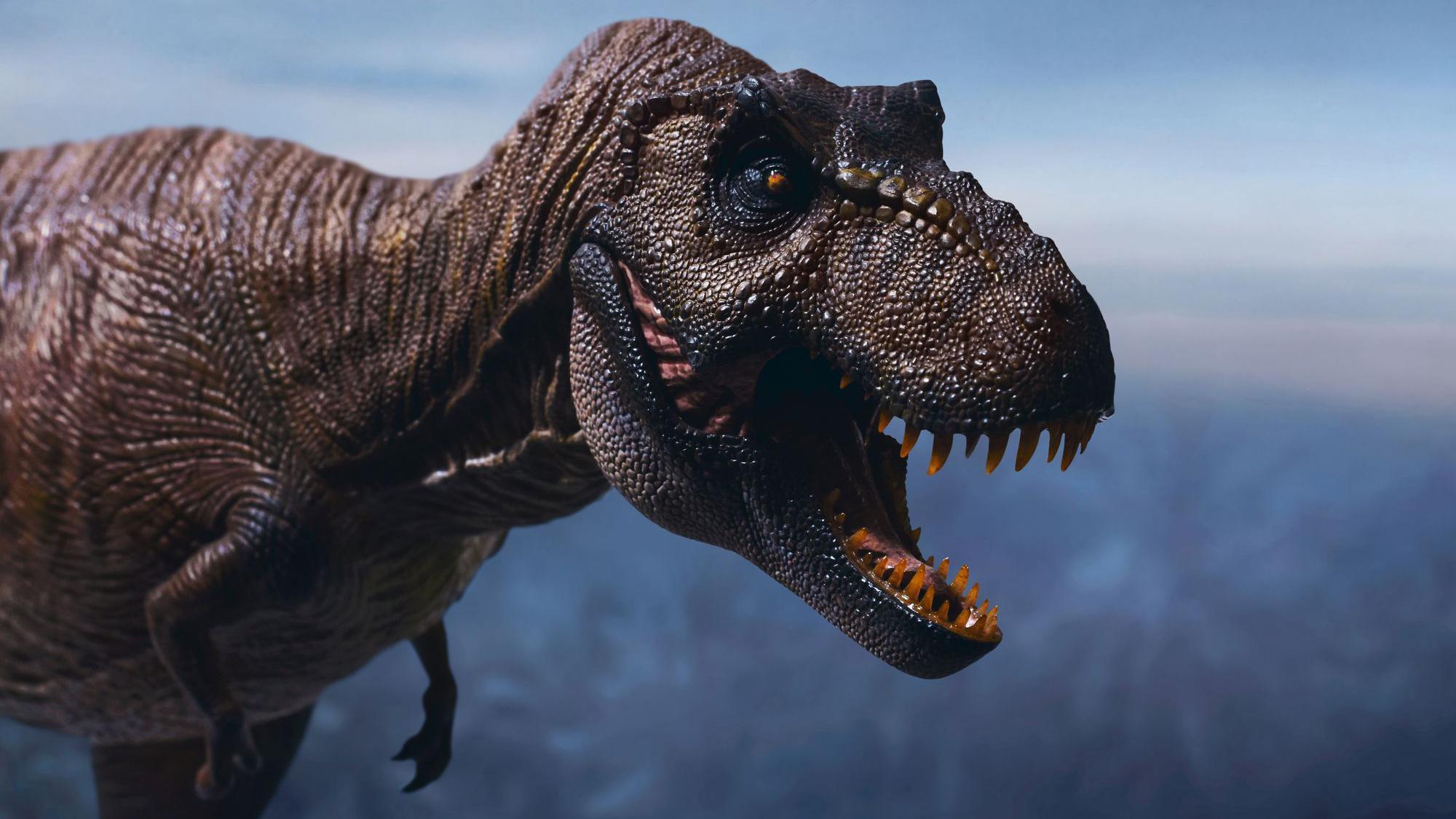 Por que o T rex tinha braços 'ridiculamente pequenos'?