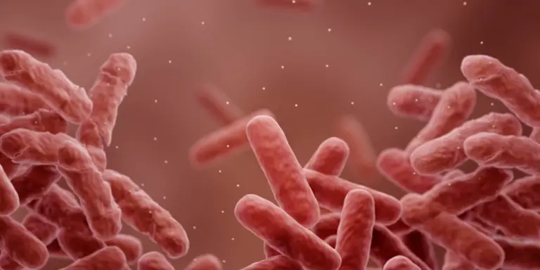 A study finds that global warming is accelerating dangerous drug ...