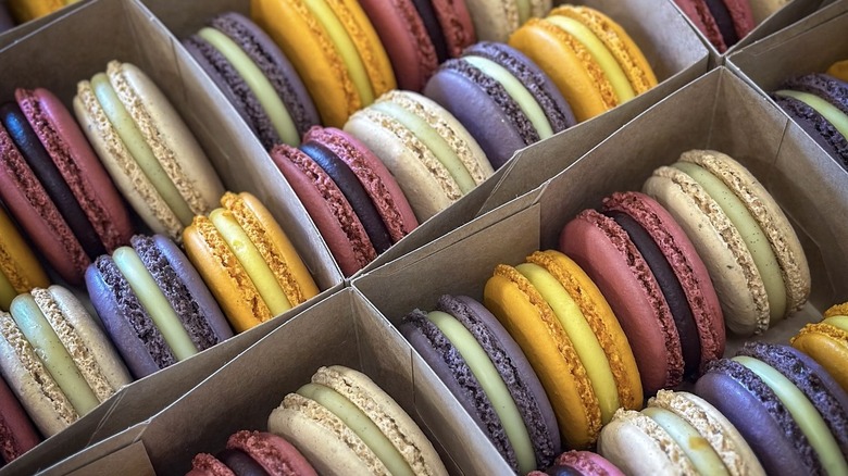 15 absolute best bakeries in Denver, according to a local