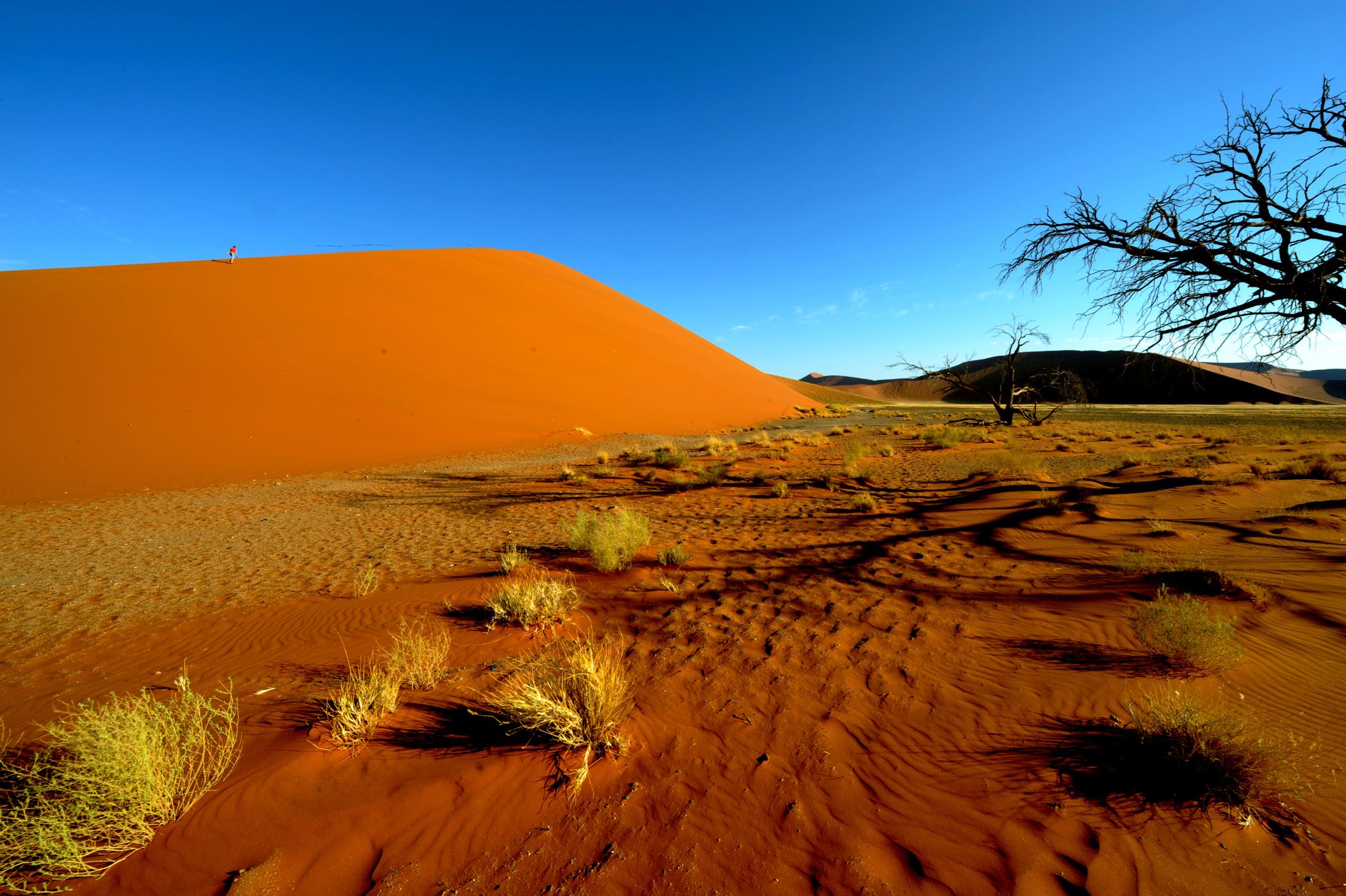 Vierte Leiche nach Flugzeugabsturz in Namibia entdeckt