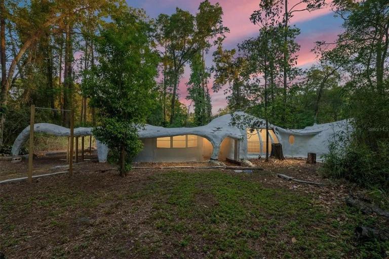 Foam dome home with ‘not a single straight line’ hits the market in ...