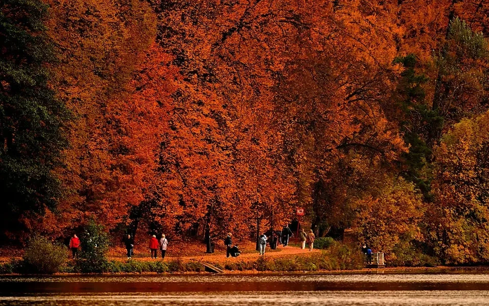 Master autumn photography with light and color