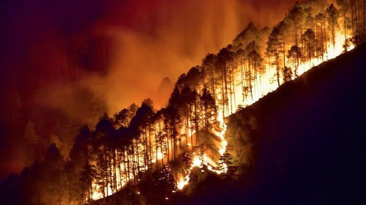 Satellite images show vast scorched forest areas in Uttarakhand and ...