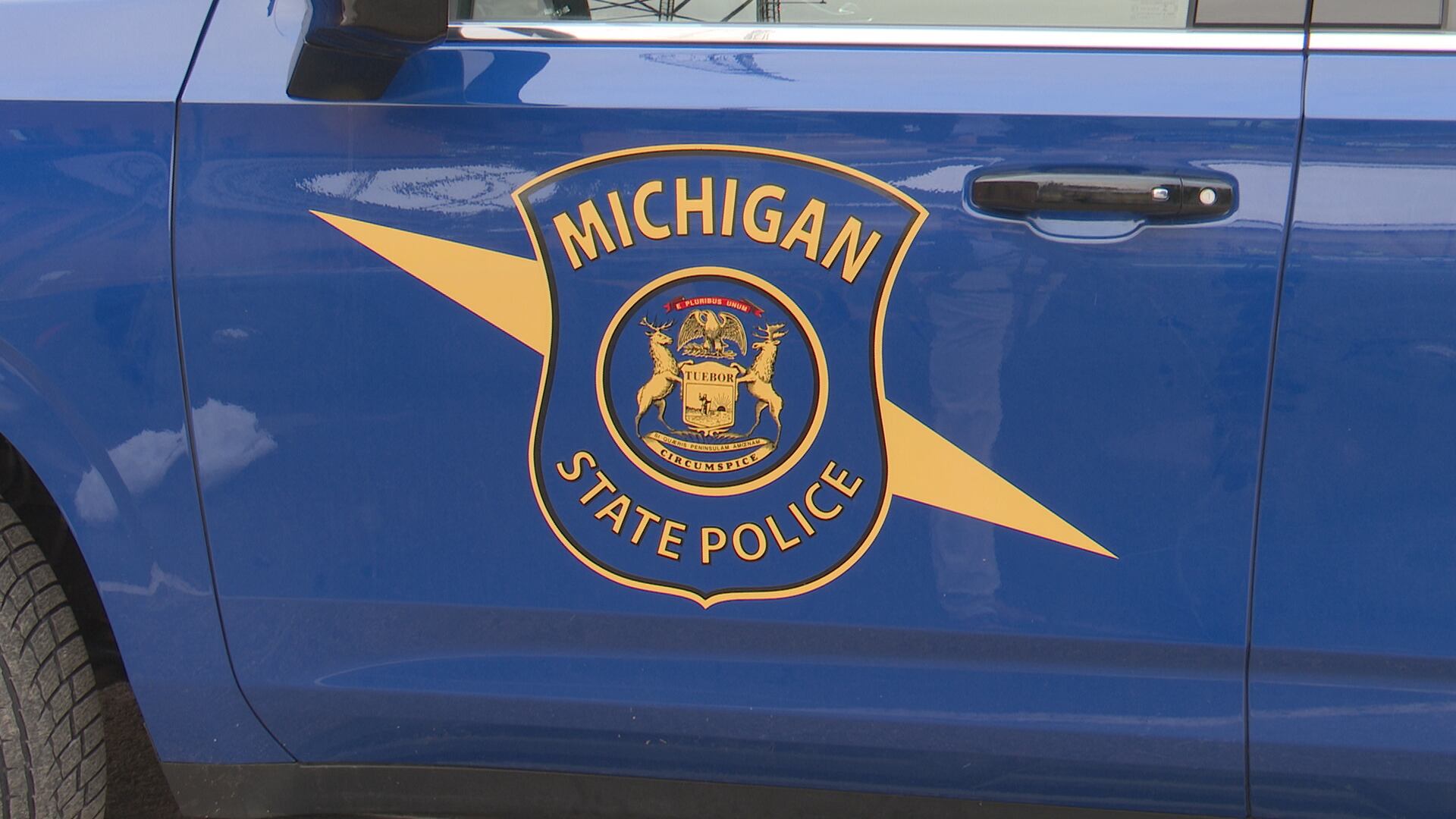 Grass Lake man killed after car leaves road, hits multiple trees ...