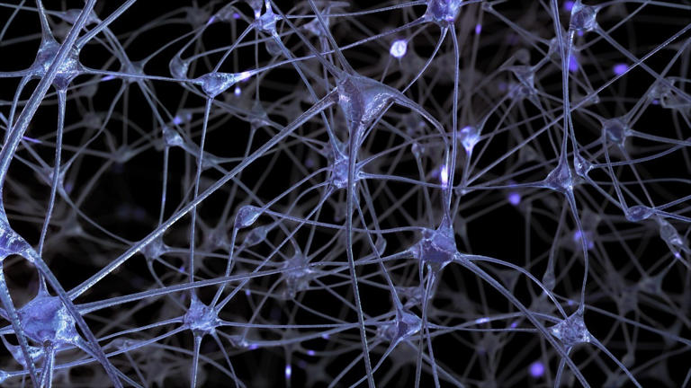 CBD just calmed the brain’s own immune cells in a new lab study ...