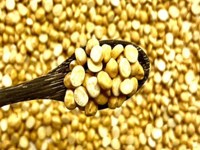 Chana sattu vs. jau sattu: Chickpea or barley, which sattu will protect ...