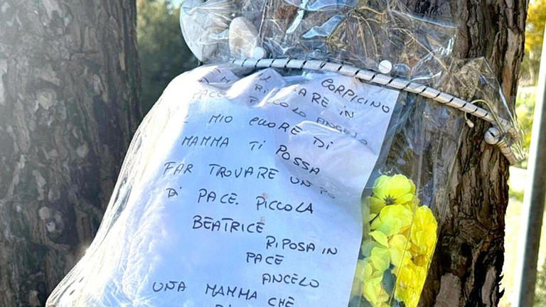 Bimba uccisa di botte: le foto choc dei pestaggi sul telefono dell’uomo ...