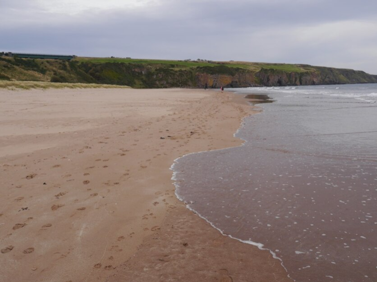 Dog walkers found 2,000-year-old footprints on a Scottish beach before ...