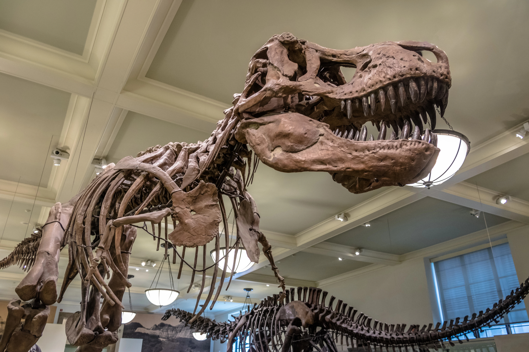 Terrifying prehistoric predators roaming the Earth