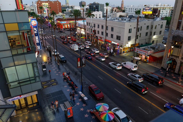 Hollywood Walk of Fame becomes scene of brutal dog attack, stabbing ...