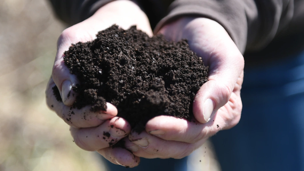 Soil secrets every home gardener should know