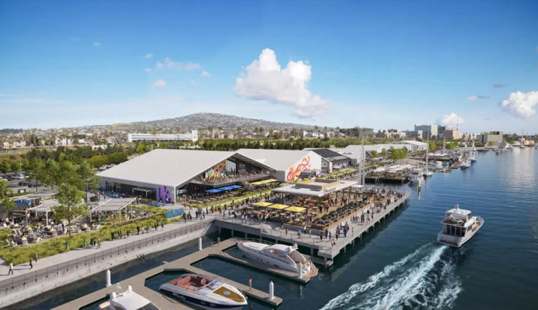 Record-breaking Ferris wheel will be part of $500M LA Waterfront ...