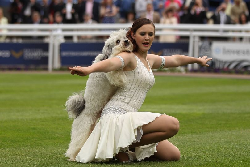 BGT winner Ashleigh Butler's life now from romance to Pudsey's tragic death