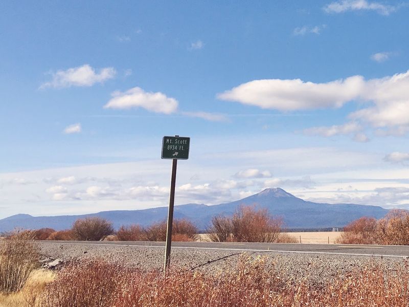 This Oregon boardwalk trail is only 1.2 miles, but you’ll see 47 bird ...