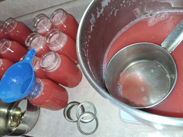 Amish kitchen: Lovina's birthday, neighbor's auction, rhubarb season