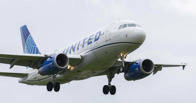 United Airlines flight diverted after passenger allegedly tries to ...