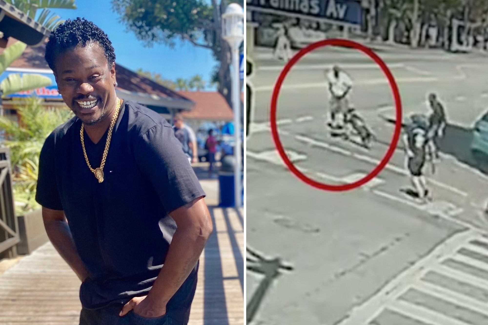 Hollywood Walk of Fame becomes scene of brutal dog attack, stabbing ...