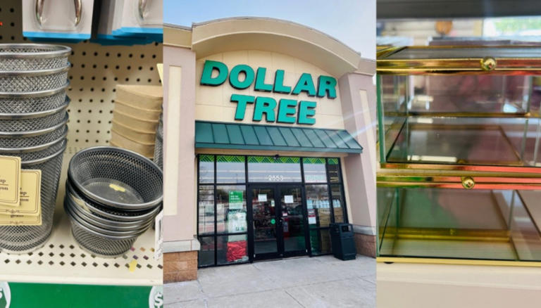 I just spotted the best $1.25 Dollar Tree bathroom organization hacks!