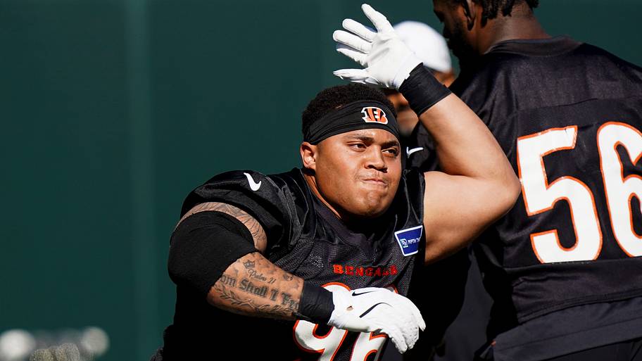 Cincinnati Bengals receive major praise for adding late gem in 2026 NFL ...