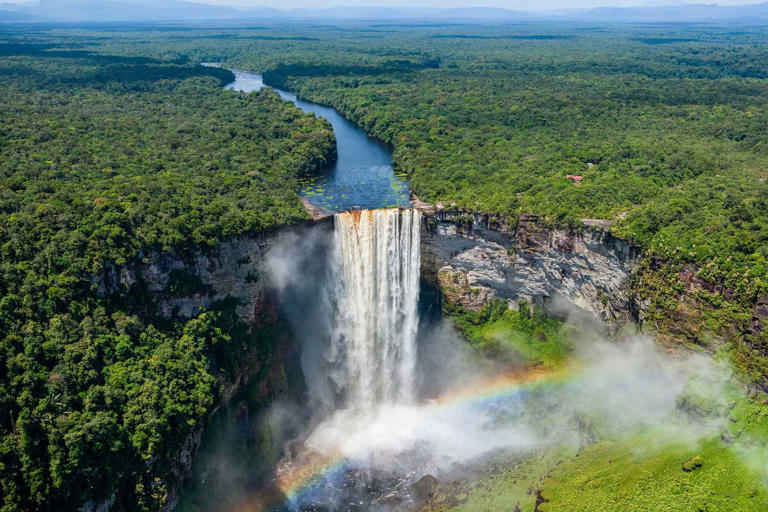 This off-the-beaten-path country has giant anteaters, swimming ...