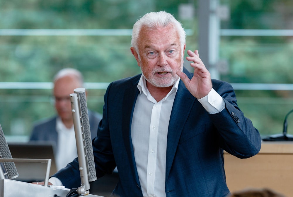 Parteitag: Kubicki zum neuen FDP-Vorsitzenden gewählt – überraschend ...
