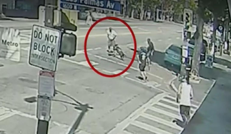 Hollywood Walk of Fame becomes scene of brutal dog attack, stabbing ...