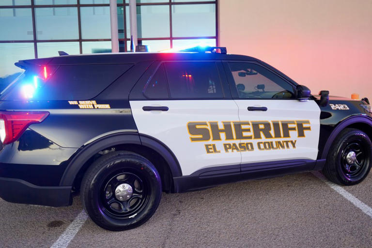 Pedestrian struck, killed along Transmountain