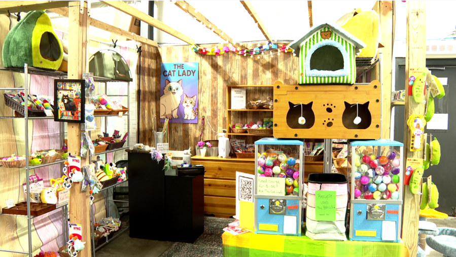 New shop in Dauphin County caters to all things feline
