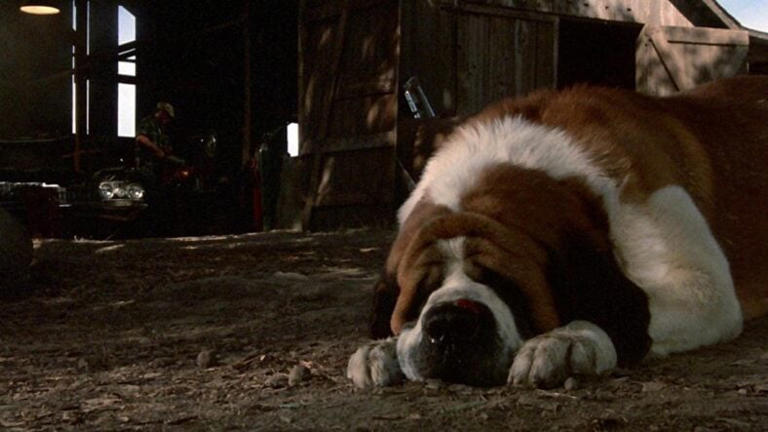 6 of the scariest summer horror movies that aren’t 'Jaws'