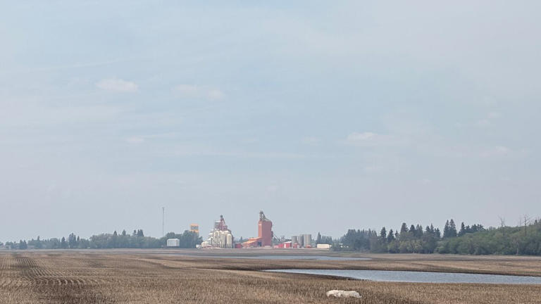 'We're meeting it face on': Shellbrook prepares for approaching ...