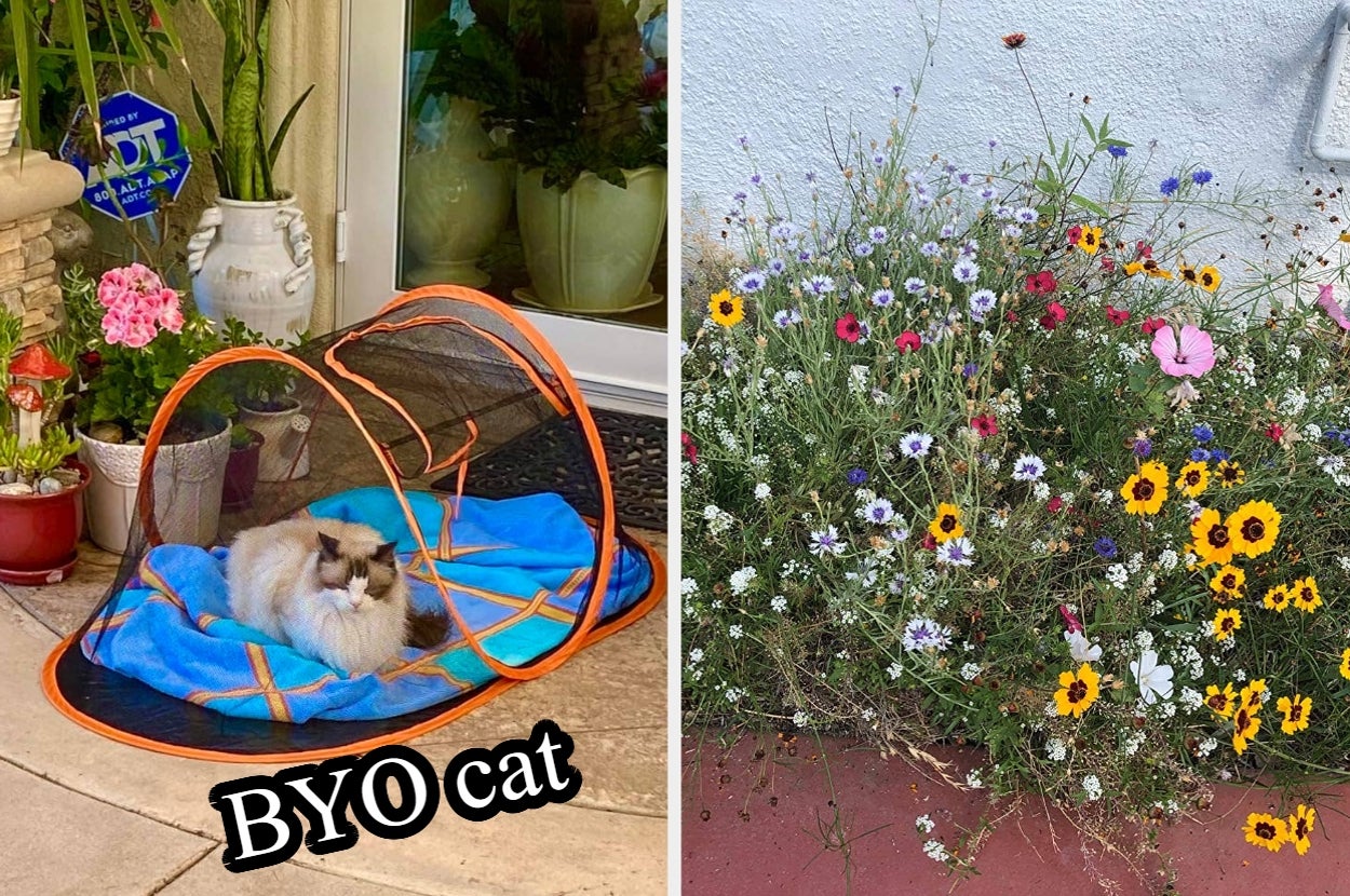 32 little things to improve your outdoor space and the time you spend there
