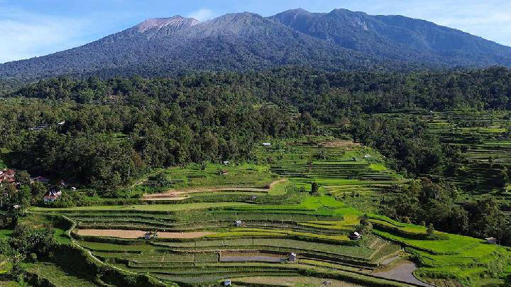 Gunung Marapi meletus lagi, warga diminta waspadai lahar