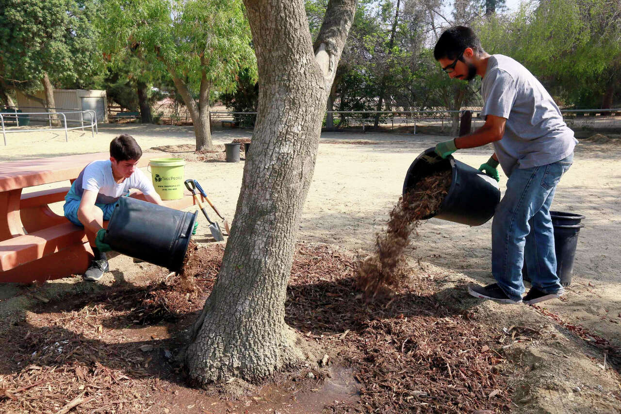How to mulch garden beds without harming plants