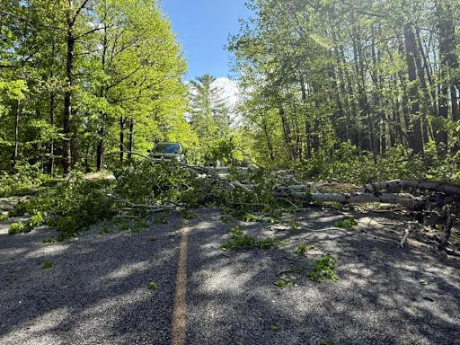 Communities in eastern Ontario, western Quebec lose power following ...