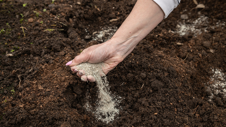 9 vegetables & flowering plants that love bone meal fertilizer