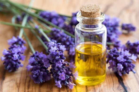 If this traditional sleeping aid has stopped working for you - this is why