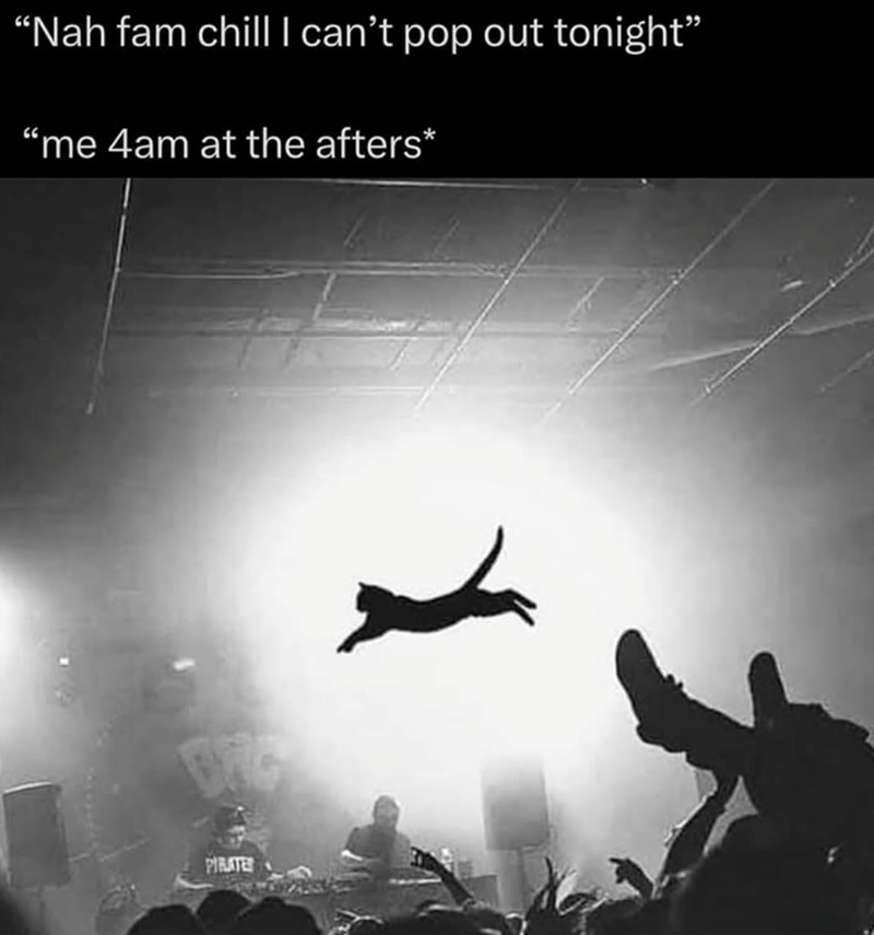 'Yo, you going to afters?': A late-night six-pack of after-party memes ...