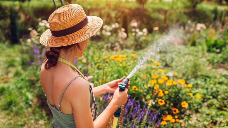 Common gardening mistakes that are attracting slugs to your yard
