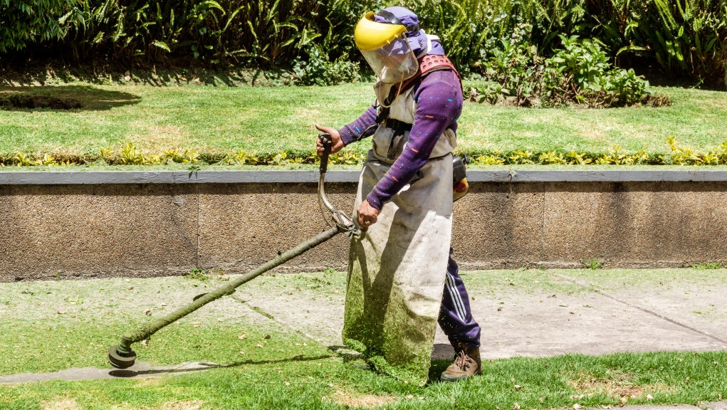 Master your yard with the right string trimmer