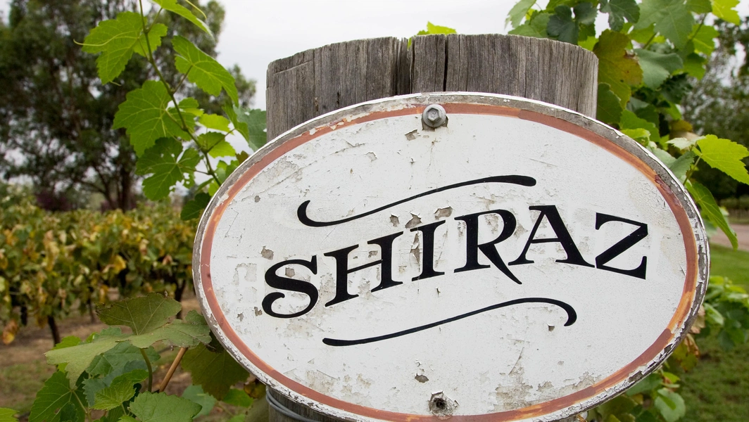 Shiraz secrets every wine lover should know