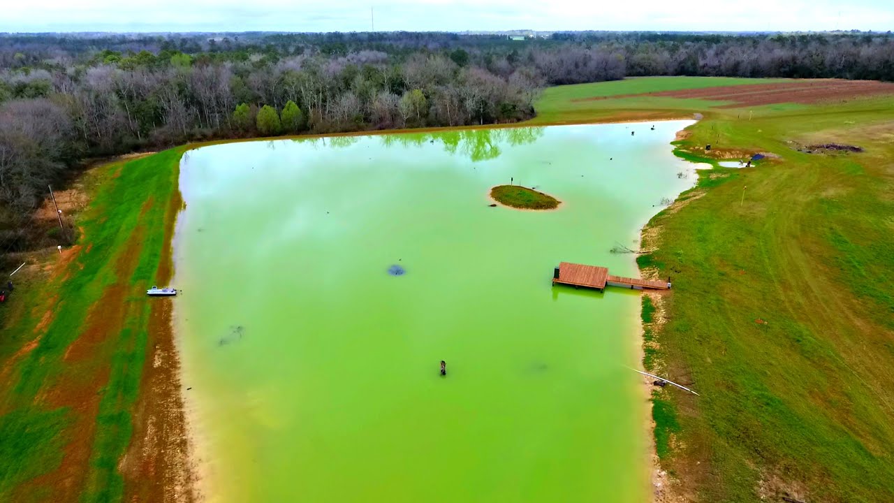 Building a 5 acre pond! (Spring planting)