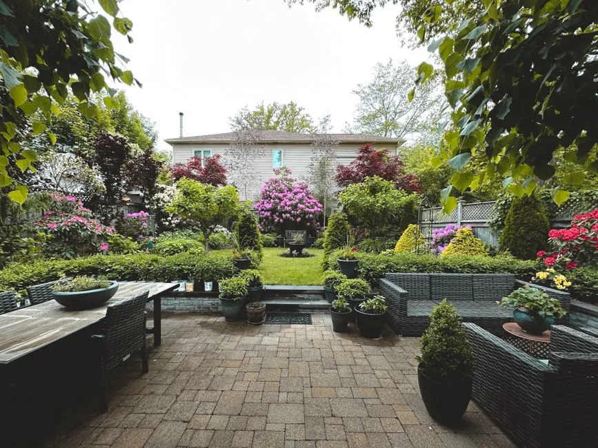 How to use plants visually to make a small backyard feel twice as big