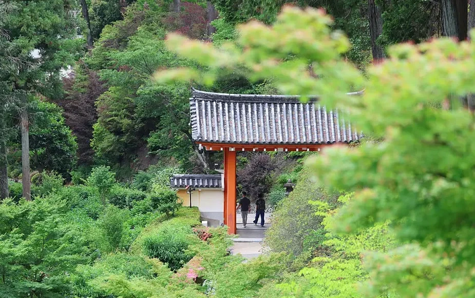 Finding peace in Japan’s temple trails
